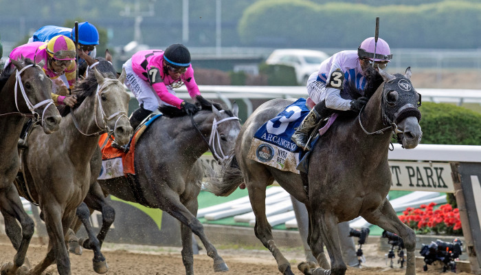 What Is A Quinella What Is An Exacta Bet Types